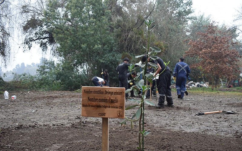 Bosque Nativo Educativo Inclusivo tiene sus primeros árboles plantados